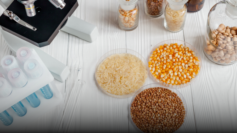 World Metrology Day: How Metrology Supports the Food System